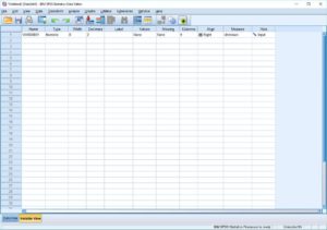 How To Define Variables in SPSS - Easy SPSS Tutorial