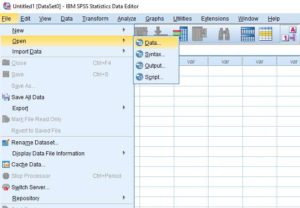 Importing Data into SPSS from Excel - Easy SPSS Tutorial