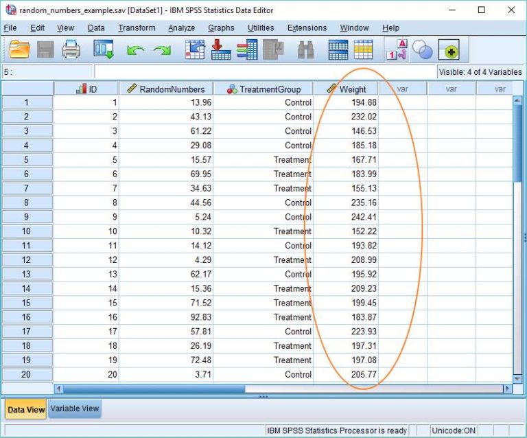 How to Generate Random Numbers in SPSS - Easy SPSS tutorial